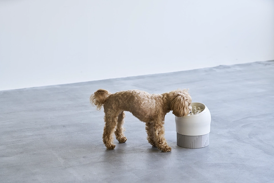 Works | Bloom Sketch